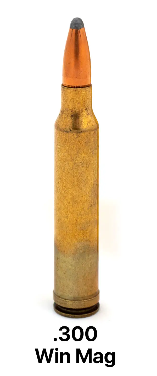 .300 Win Mag vs .308 Winchester: Caliber Showdown - WeaponsMan