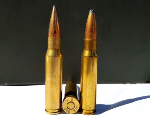 .300 Win Mag vs .308 Winchester: Caliber Showdown - WeaponsMan
