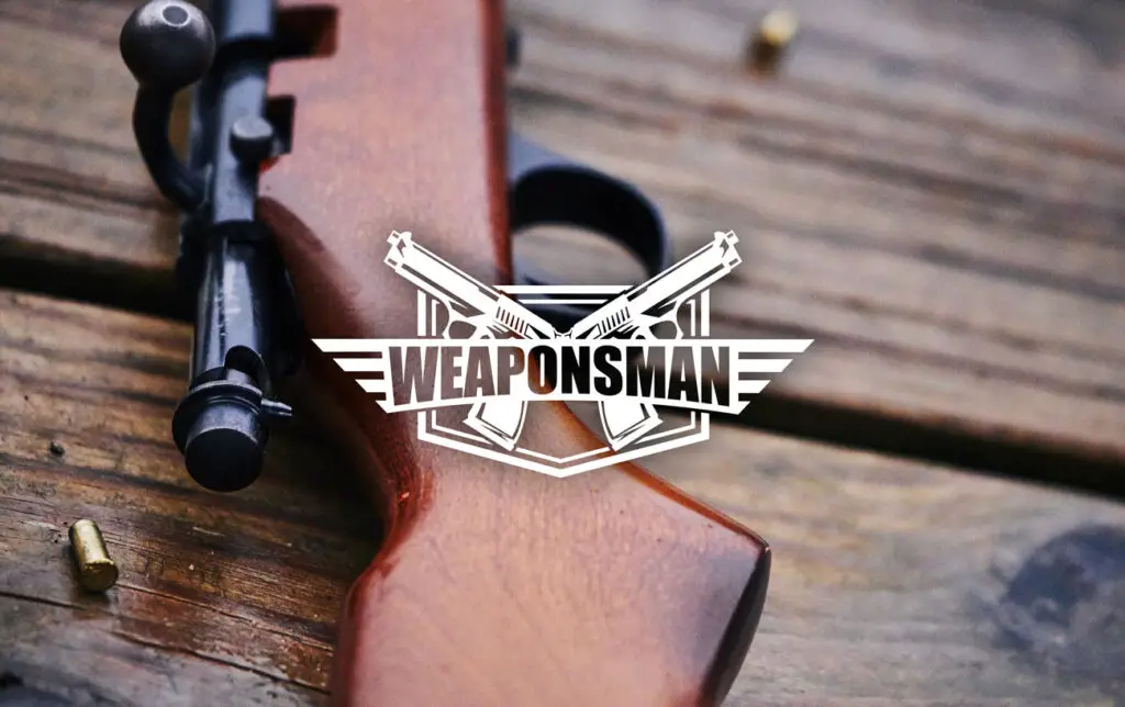 Best .22 Long Rifles in 2024 [RANKED] - WeaponsMan